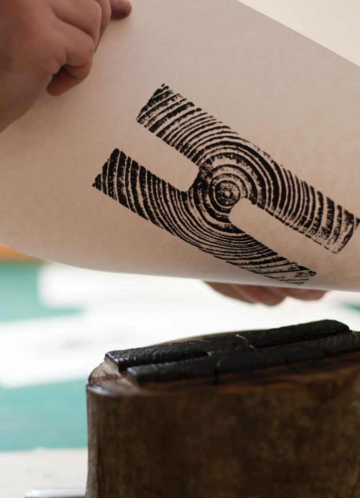 howies — Carter Wong Design