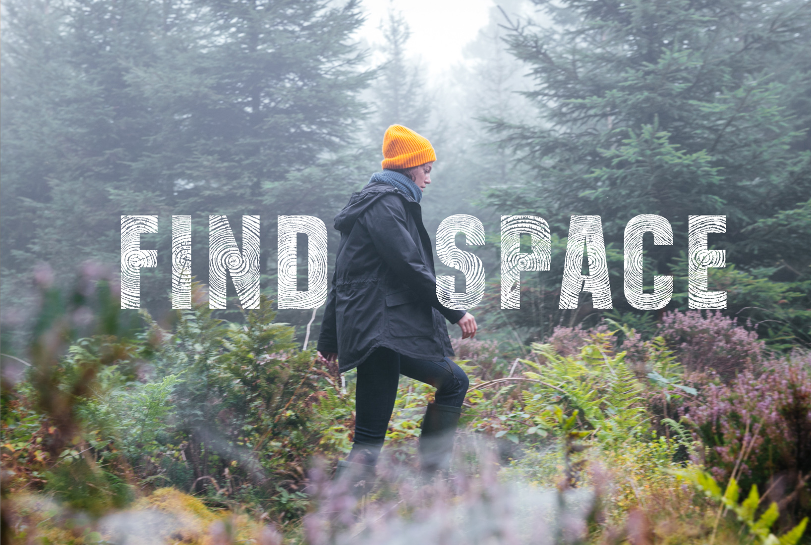 howies — Carter Wong Design