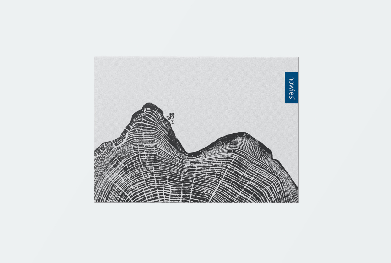 howies — Carter Wong Design